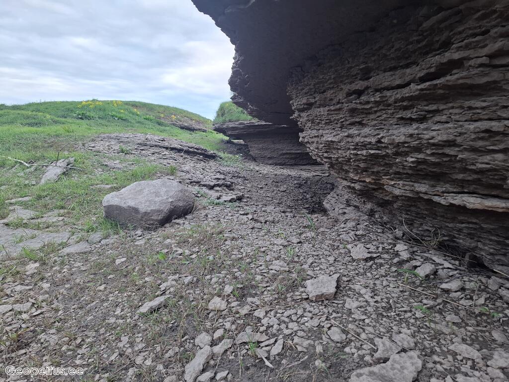 Geopeitus