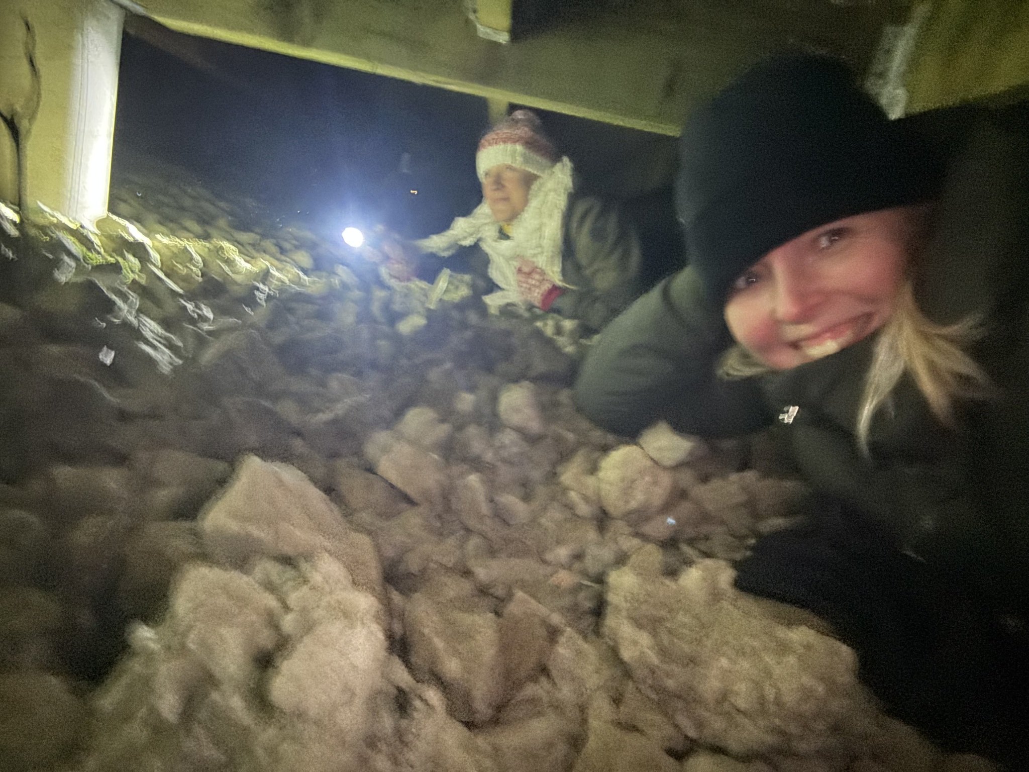 Geopeitus