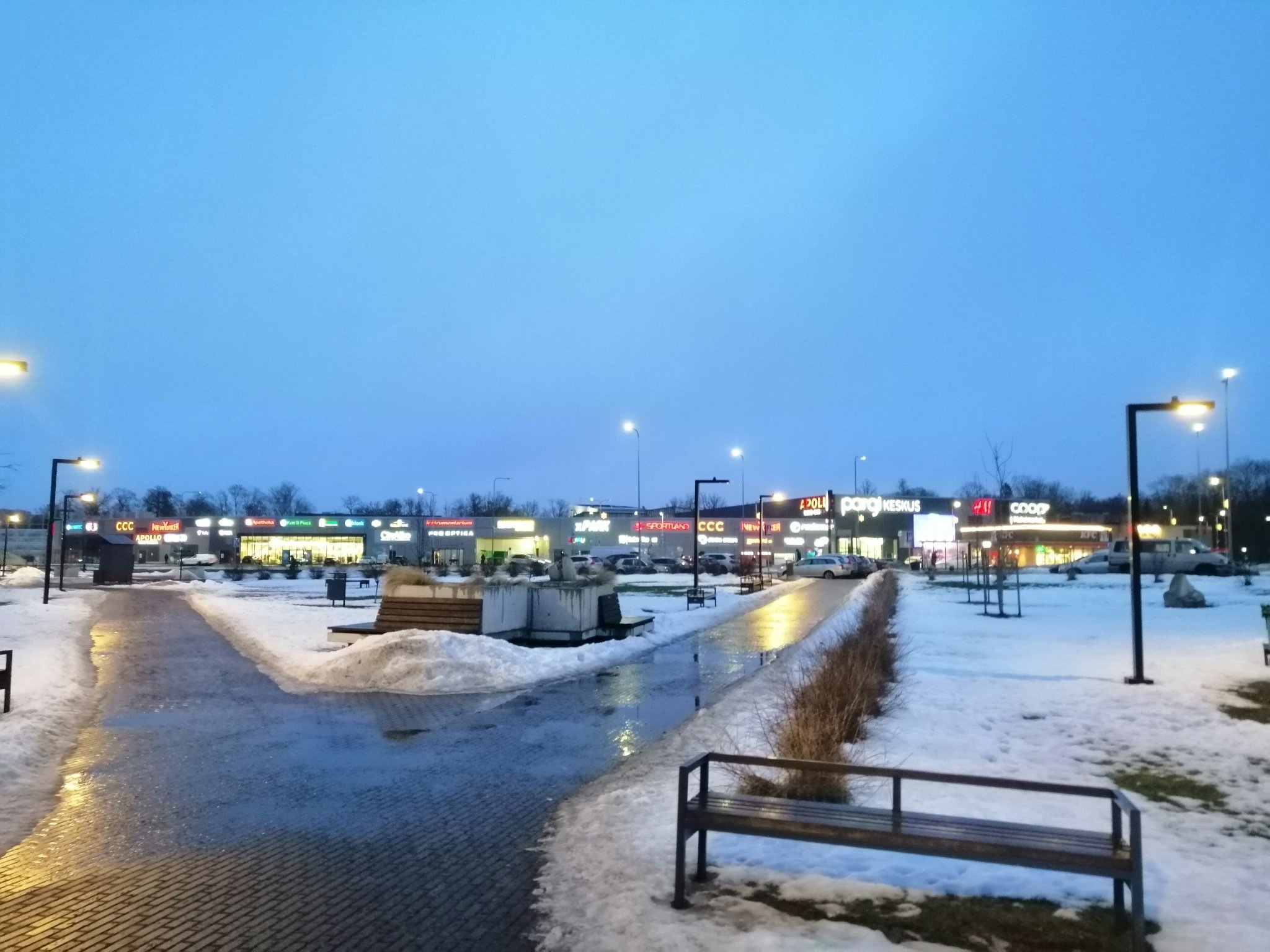 Geopeitus